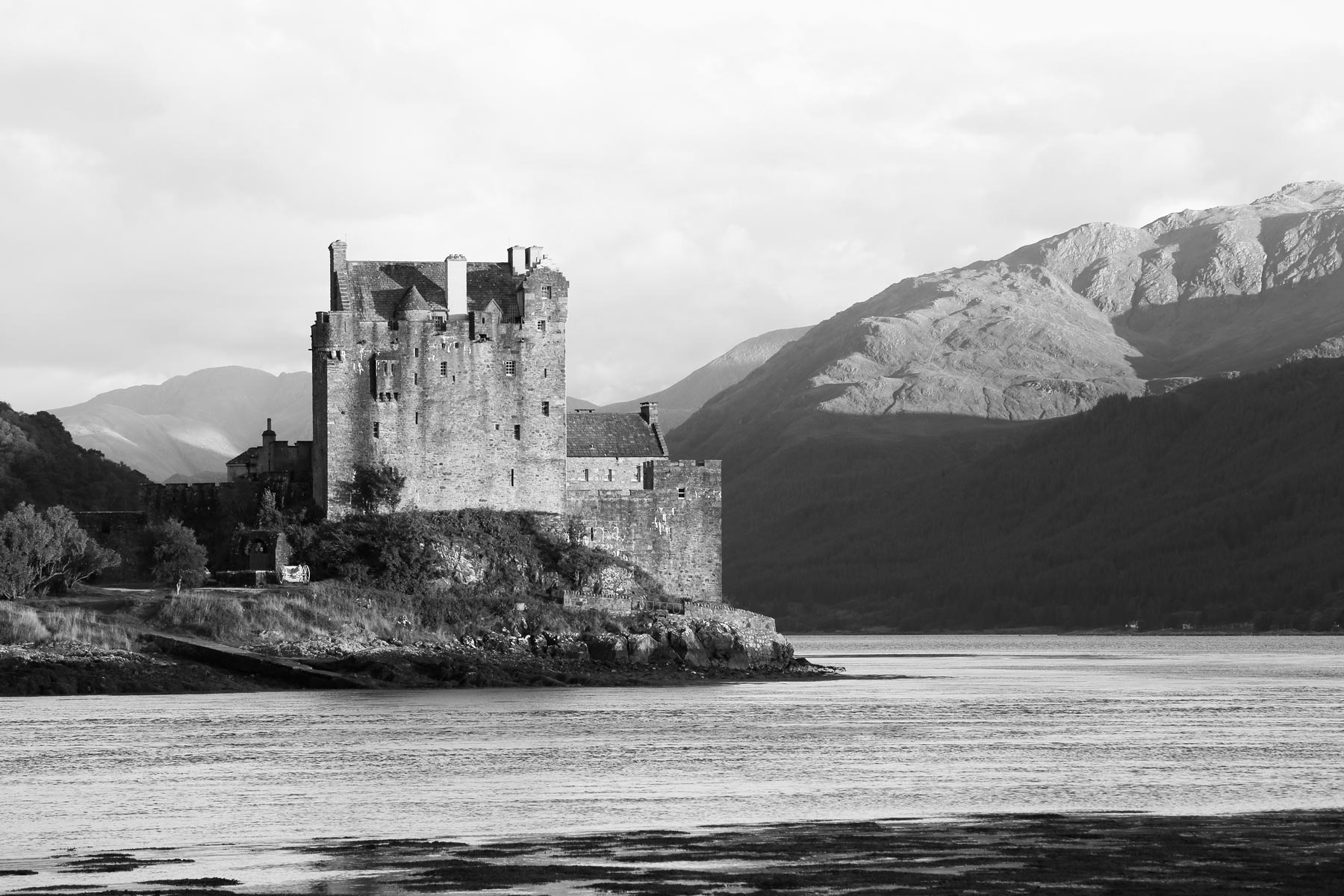 Governance - The Hottinger Group